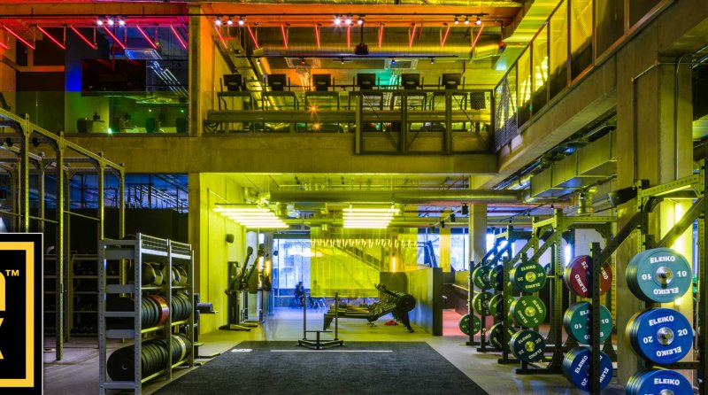 go wild at gym box | Make It Ealing